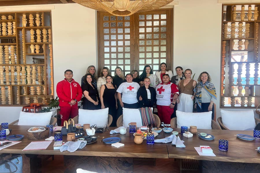 Elva Castillo, nueva presidenta del Comité de Damas Voluntarias De la ...