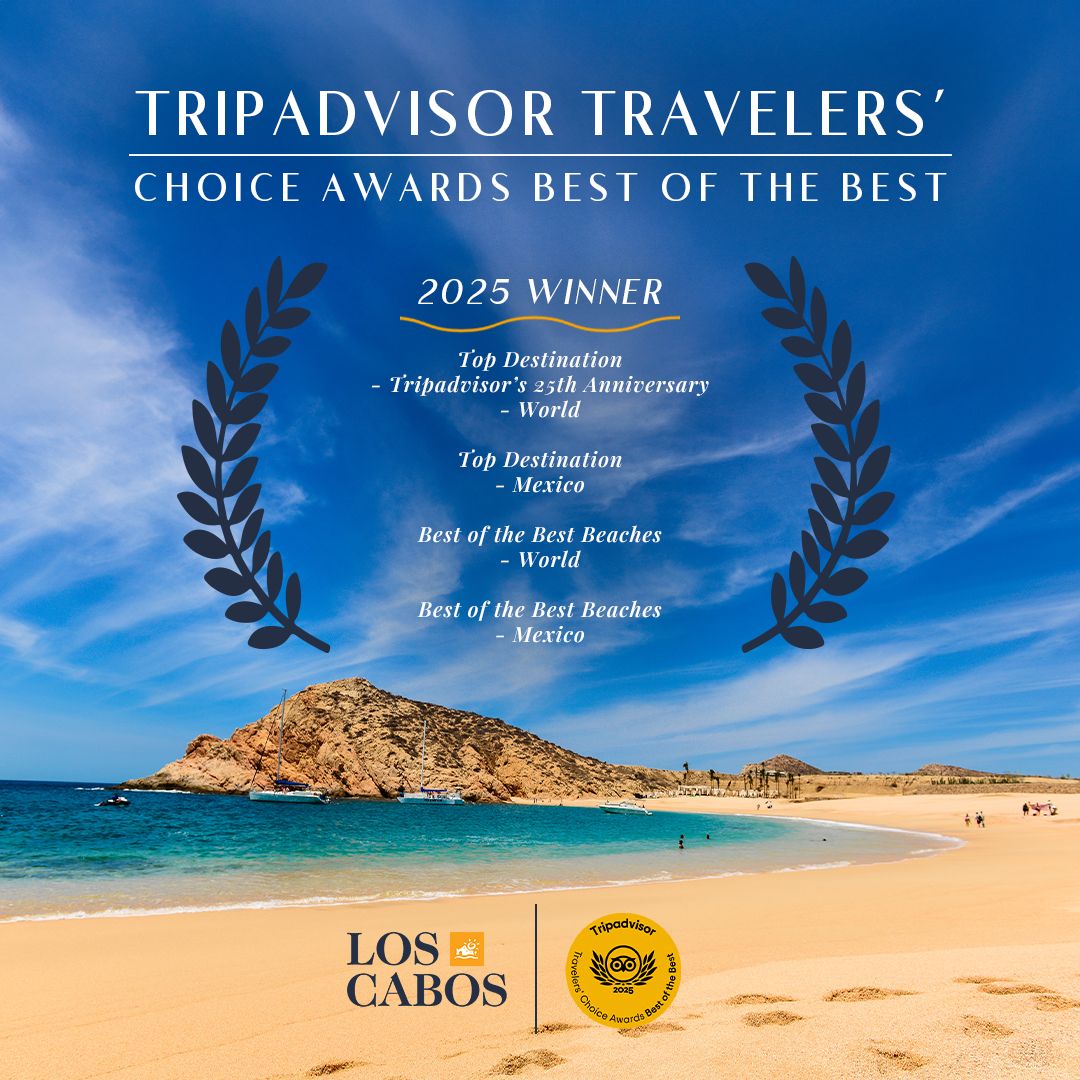 Los Cabos brilla en los Tripadvisor Travelers’ Choice® Awards 2025 con ...