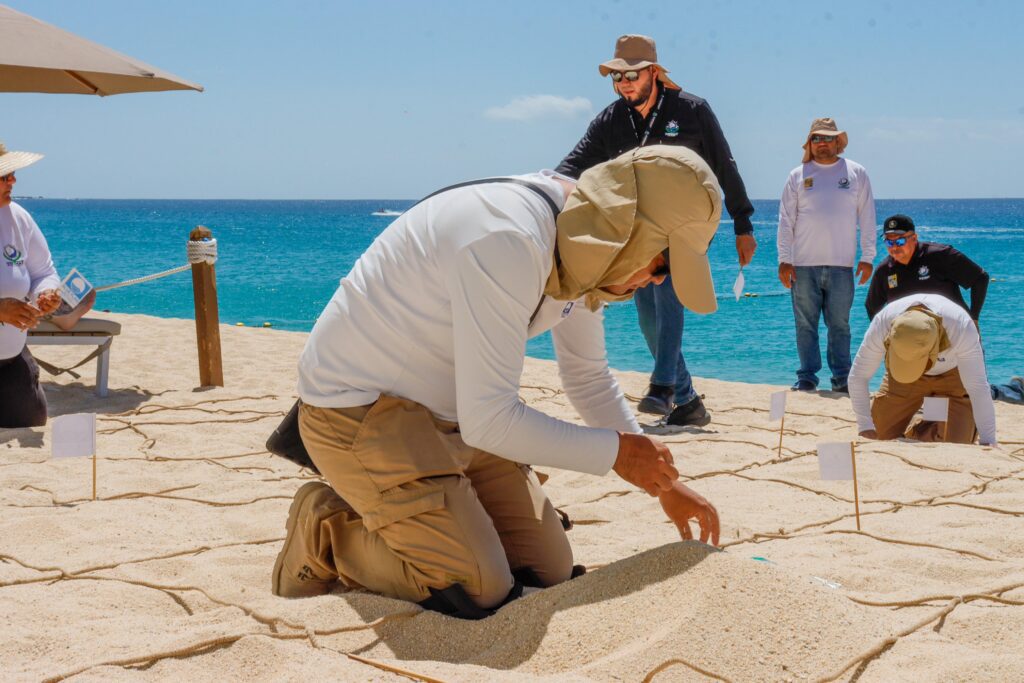 Los Cabos mide microplásticos y colillas para conservar su Blue Flag ...