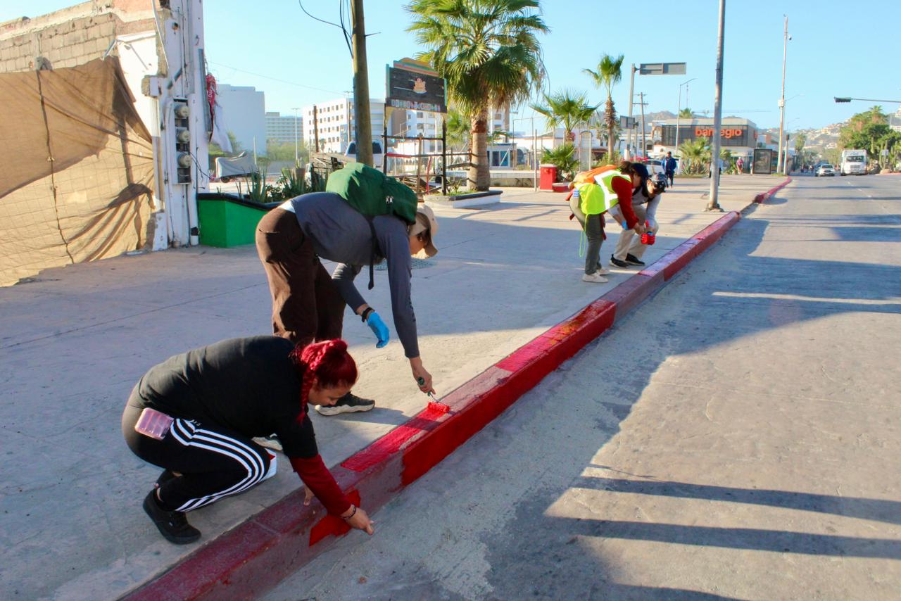 Ayuntamiento de Los Cabos y API BCS refuerzan mantenimiento del Centro ...